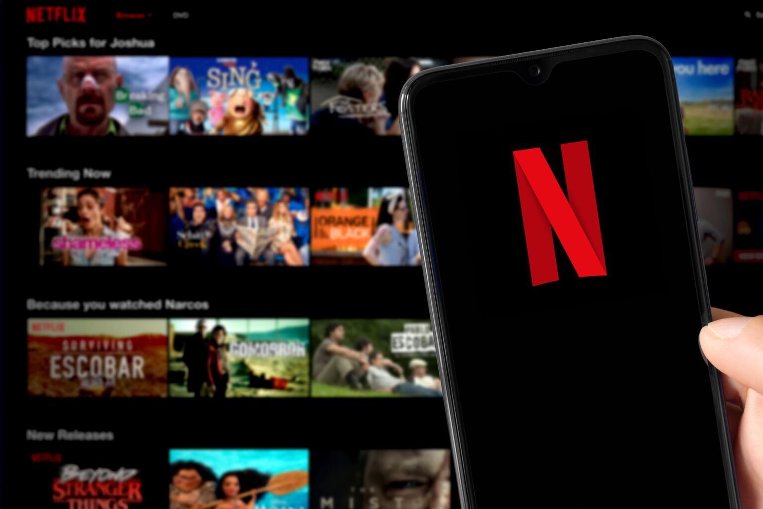 Netflix animated series every director should know! - VoiceTalks